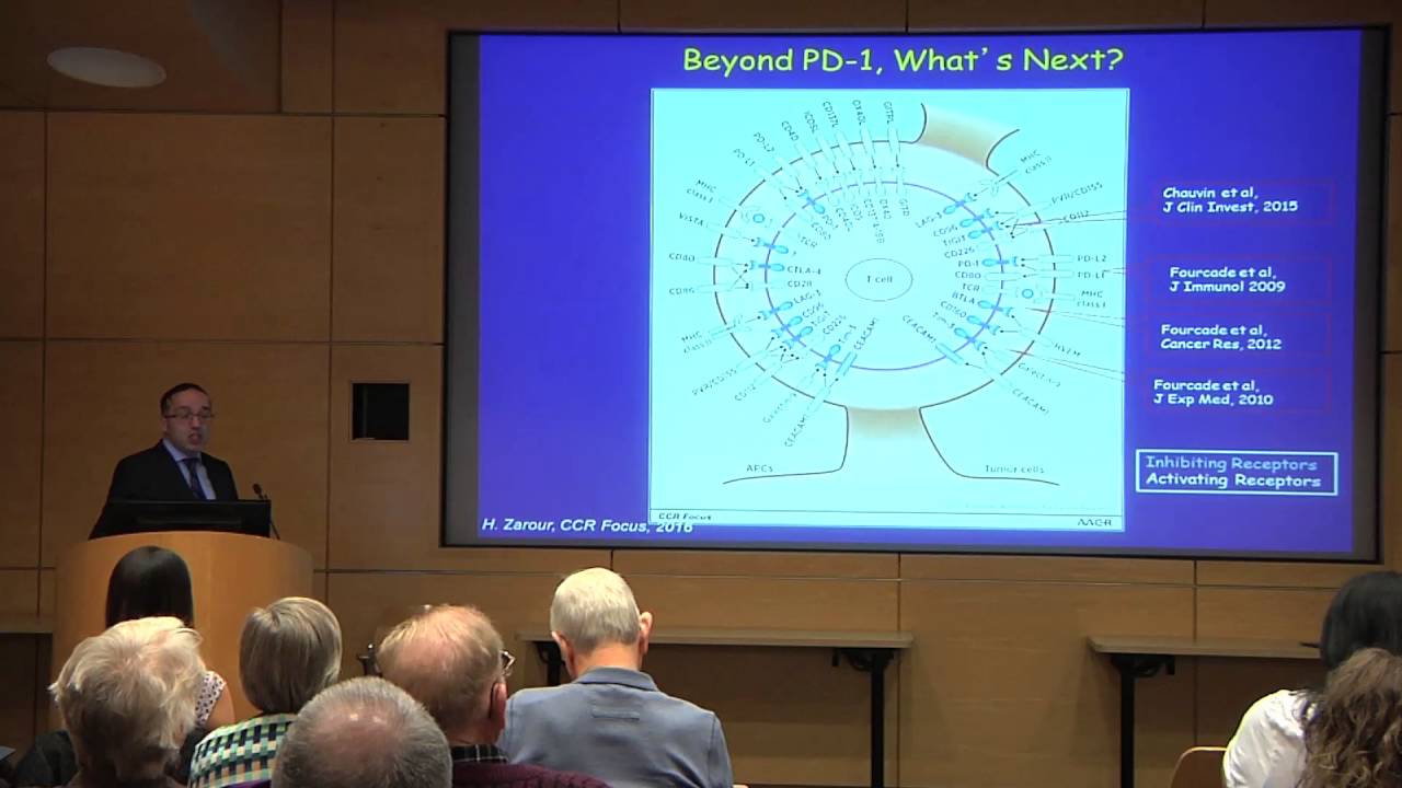 Immunotherapy of Melanoma Targeting PD-1 and Other Inhibitory Receptors
