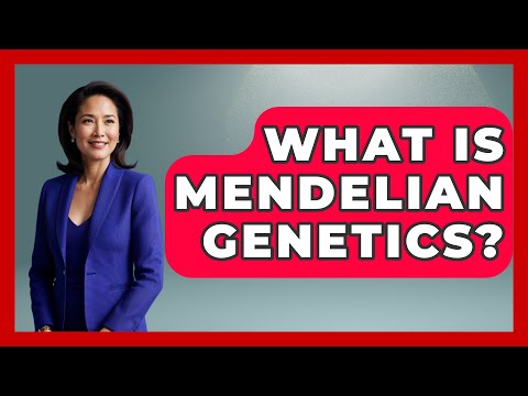 What Is Mendelian Genetics? - Biology For Everyone