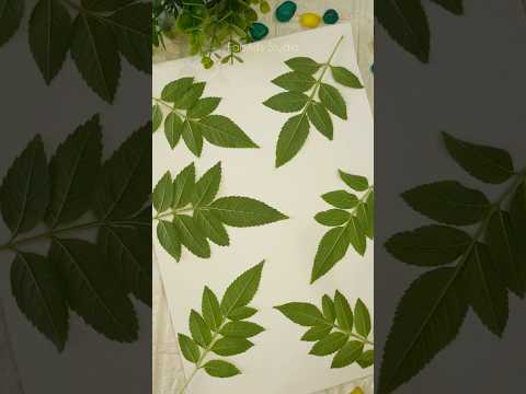 Leaf painting idea for beginners ๐ฟ #painting #shorts #canvaspainting #acrylicpainting #shortvideo