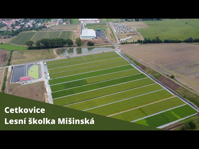 silvarium.TV - lesnický video portál - Lesní školka Mišinská firmy ...
