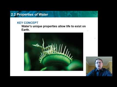 Properties Of Water