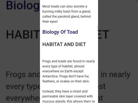@ToadFilms #toad