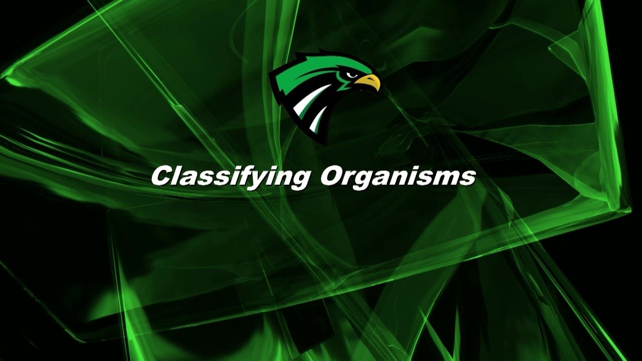 Courseware: Classifying Organisms