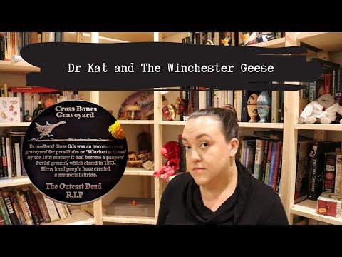 Dr Kat and The Winchester Geese