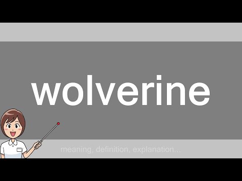 wolverine