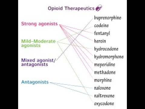 Opioid Agonists and Opioid Antagonist drugs ; Definition, Mechanism of action and Types