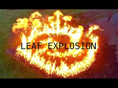 Fire (Videos & Images) - Real Time VFX