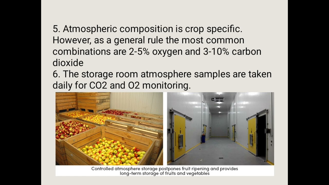 Control and modified atmosphere packaging and storage