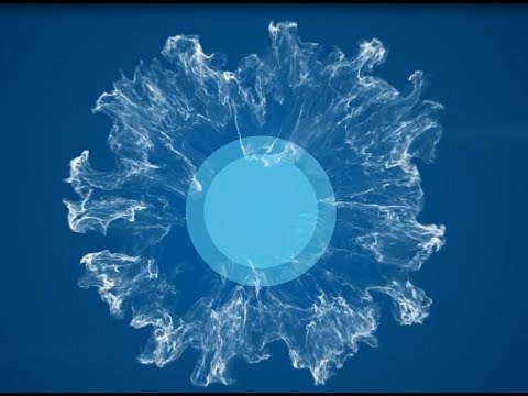 Bio Discs - Amezcua Bio Disc Latest Price, Manufacturers & Suppliers