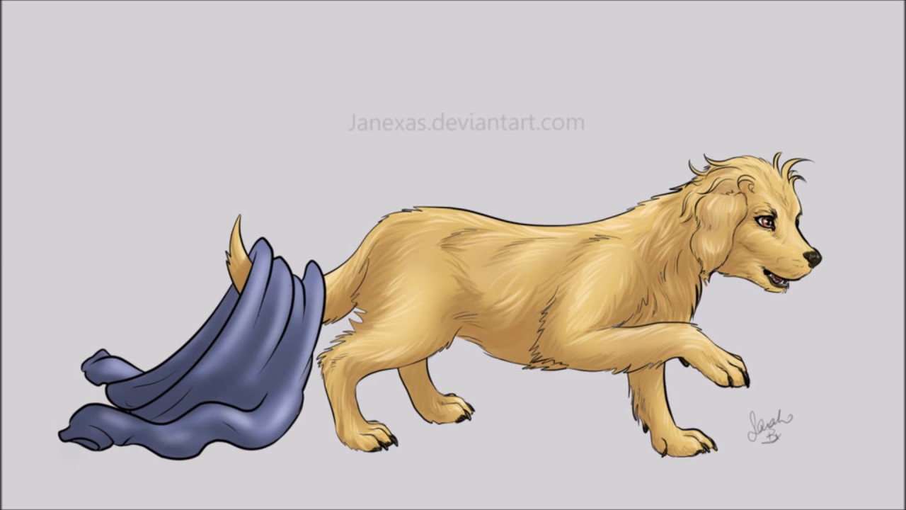 Animal Transformations 1 (re-upload)