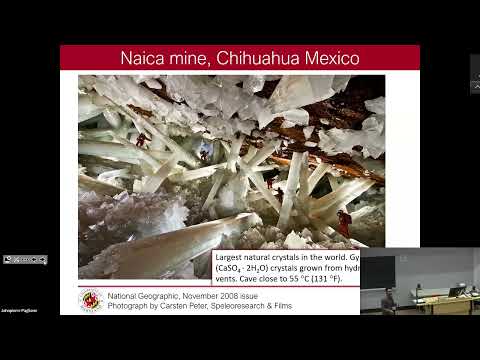 FQM2024: Efrain Rodriguez, University of Maryland