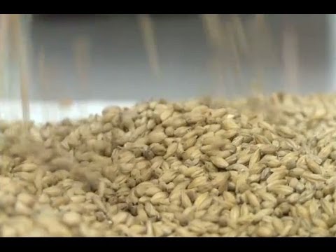 Feeding the World | Industrial Revolutions