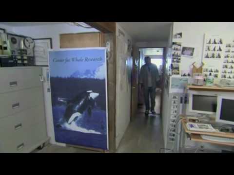 Biology | Ms. Auld's Science Page