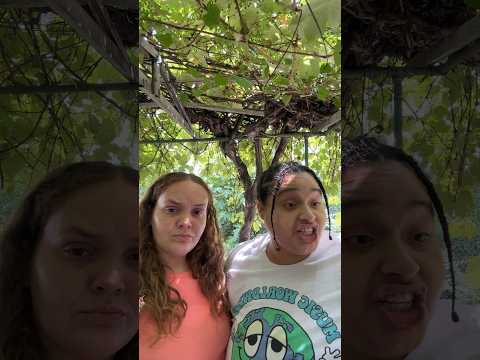 When you and your hg link π #shorts #tiktok #songs #asmr #youtubeshorts #explore #fun #funny