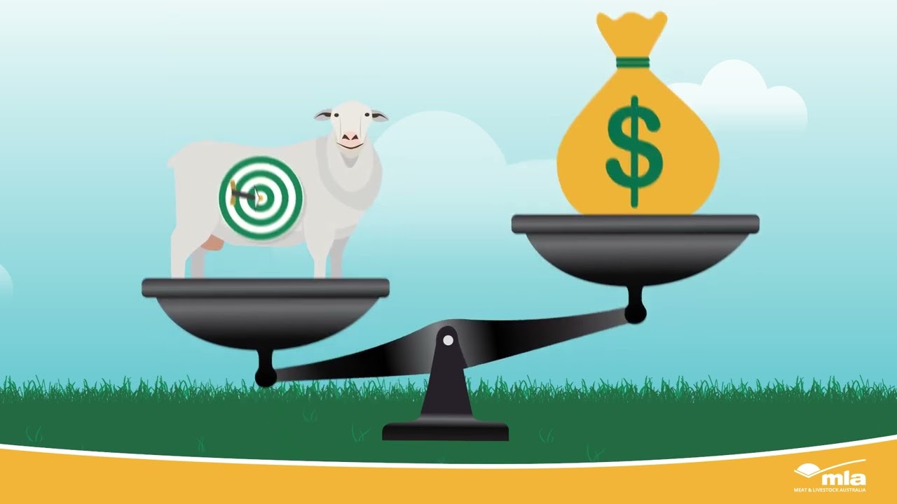 How do I set a breeding objective for my sheep flock?