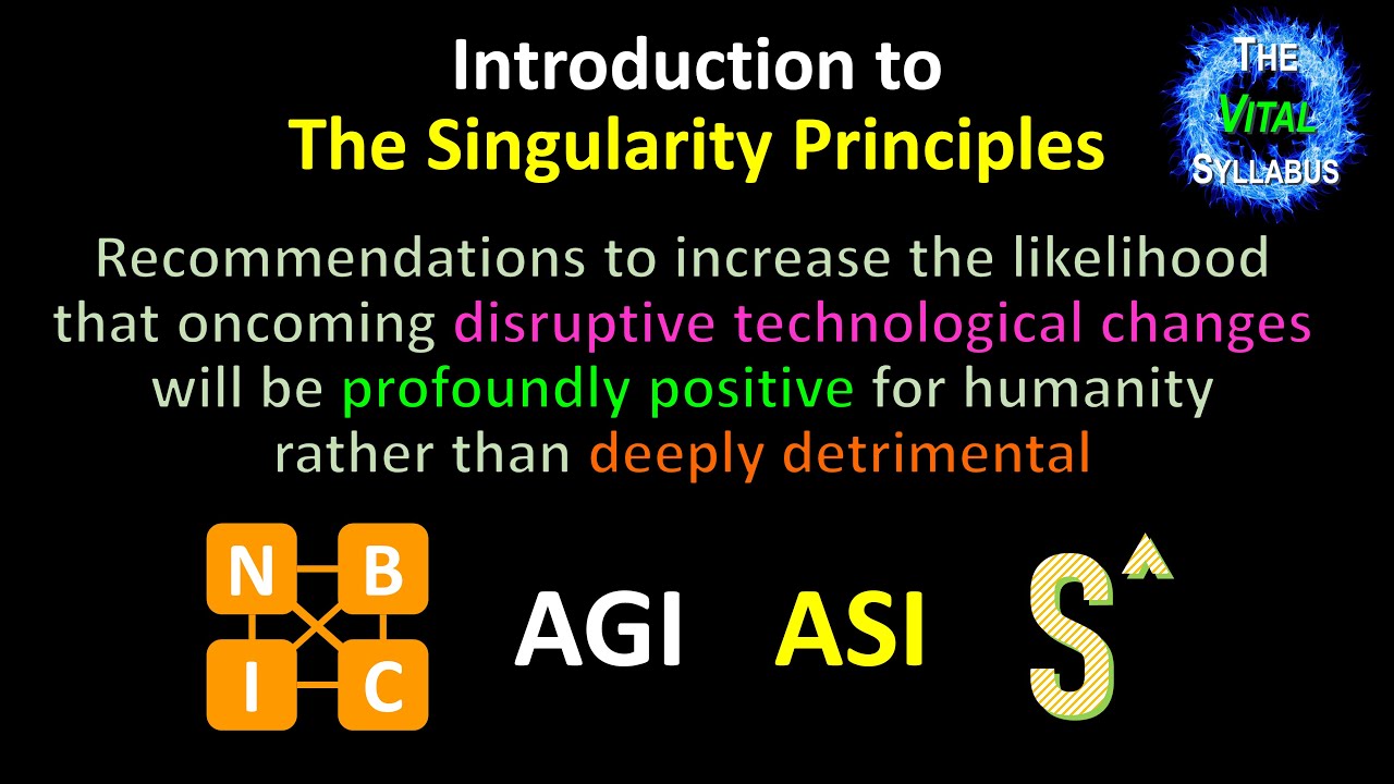 Introduction to the Singularity Principles