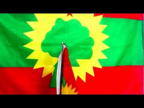Alaabaa | Oromia & Oromo Affairs