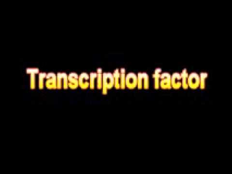 What Is The Definition Of Transcription factor