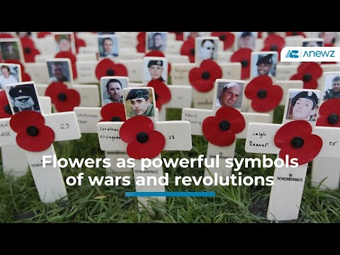 Flowers as powerful symbols of wars and revolutions