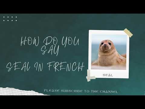 How do you say SEAL in French?