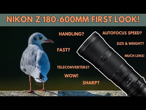 Nikkor Z 180-600mm: Countryside check