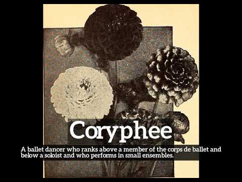 How to Say Coryphee in English? | What is Coryphee? | How Does Coryphee Look?