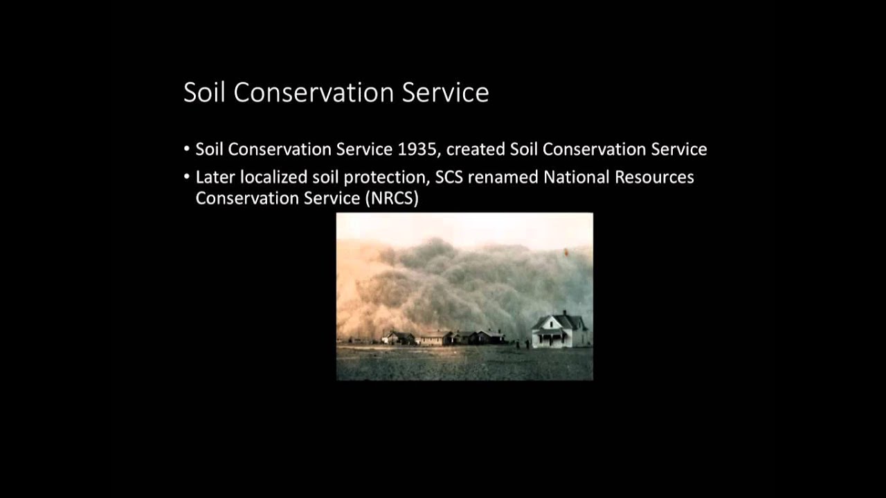 AP Environmental Science Chapter 9