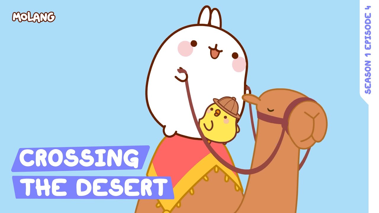 RIDING A CAMEL WITH FRIENDS | Molang Season 1 - Ep. 4