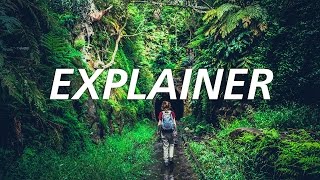 Radical Orange Reviews and Clients | DesignRush