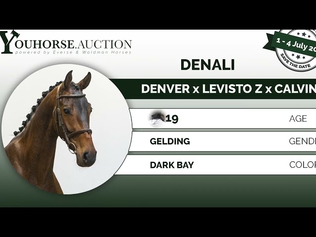 Youhorse.auction | Denali