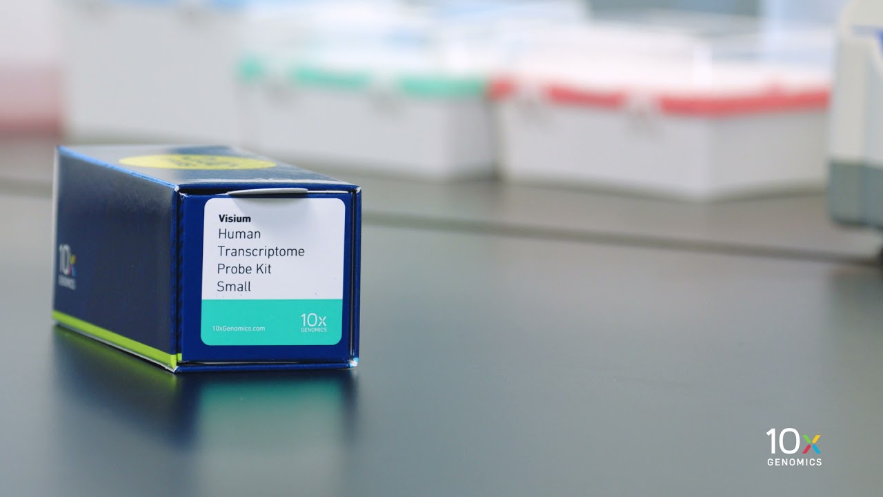 Visium for FFPE Gene Expression Protocol | Getting Started