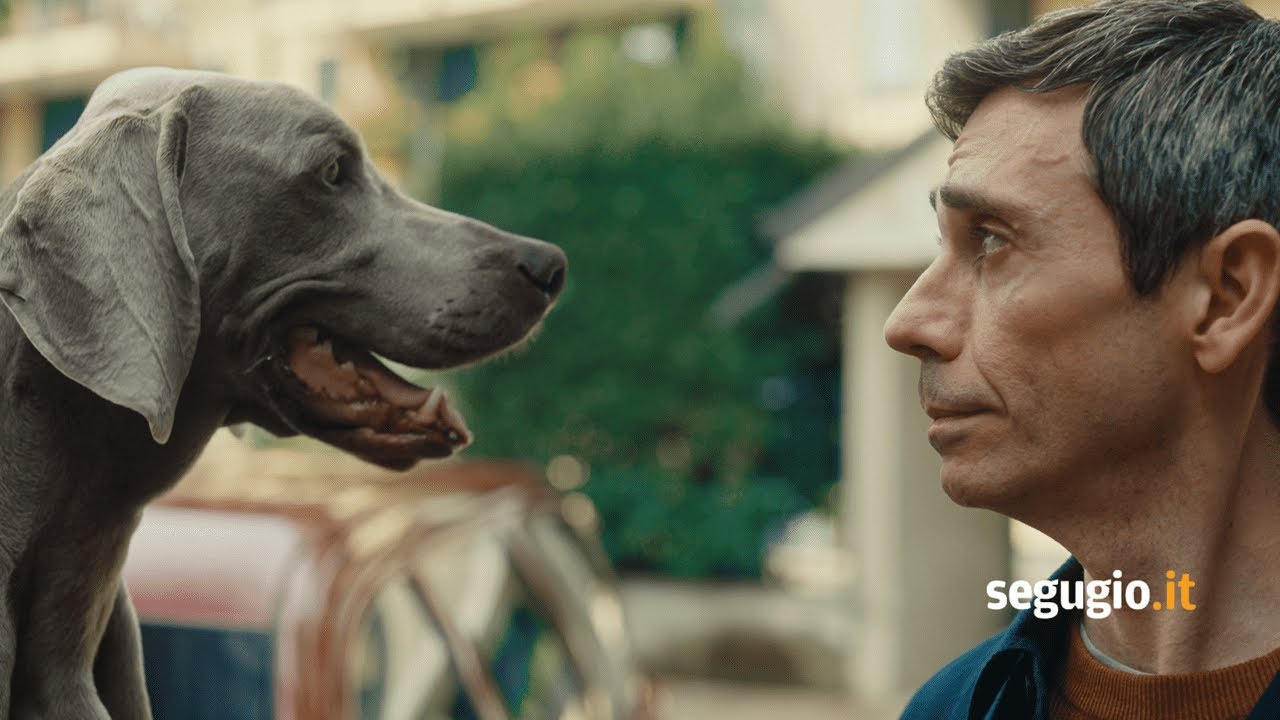 Al via il nuovo spot di Segugio.it: il comparatore senza confronti ...