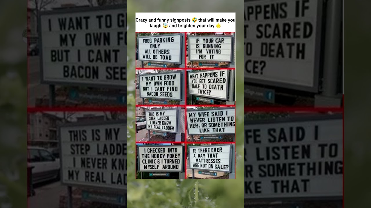 The Funniest Signposts You’ll Ever See 🤣 #Funny #Motivation #ComedyShorts #LaughDaily #PositiveVibes