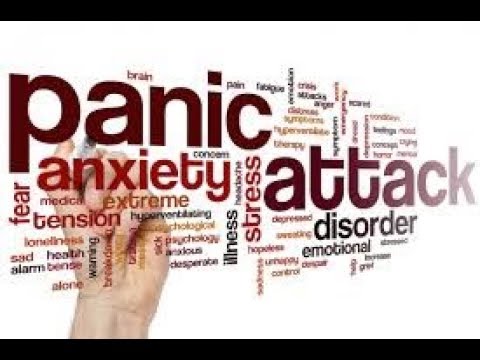 Online Mindfulness-based Treatment for Panic Attacks