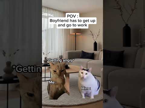 Animal Memes Central π± POV: Boyfriend has to get up and go to work #cat #animals #cute #funny