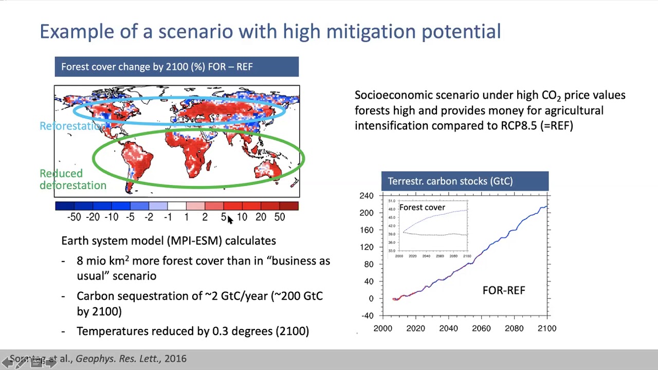 Webinar: 'Forest Management and Land Cover Change Under a Changing Climate'