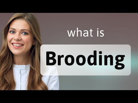 Brooding • BROODING meaning