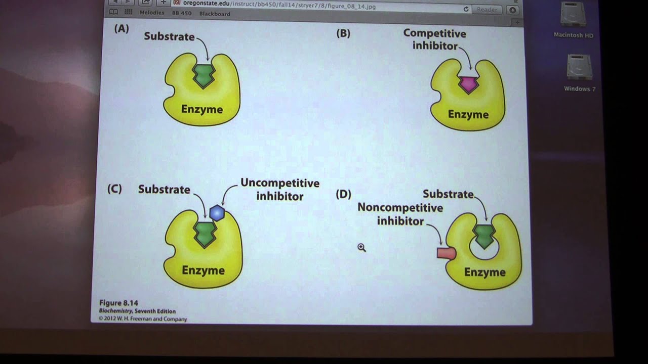 Ahern's Biochemistry #11 - Enzymes 3