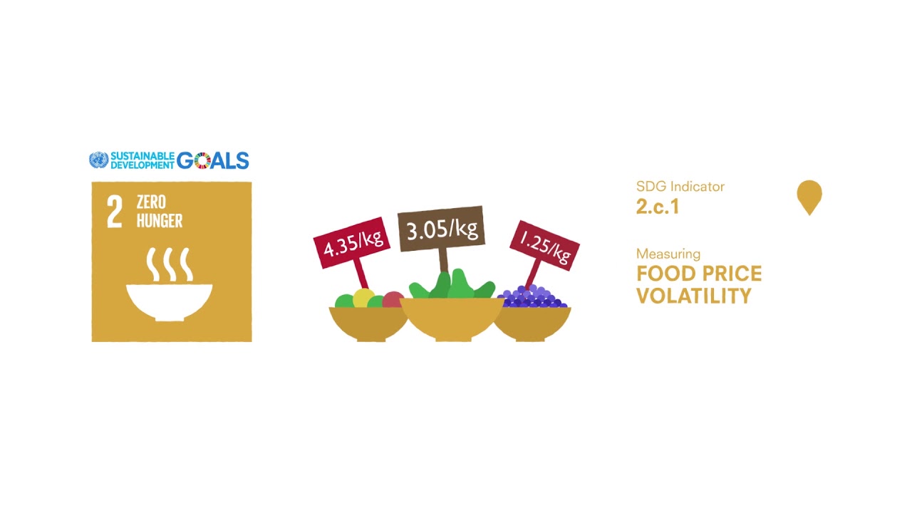 SDG 2 – Indicator of price volatility