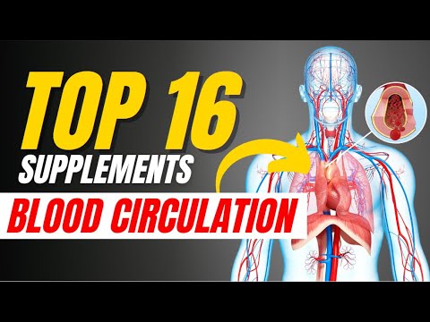 Best 16 supplements for blood flow and circulation