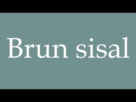 How to Pronounce ''Brun sisal'' (Sisal brown) Correctly in French