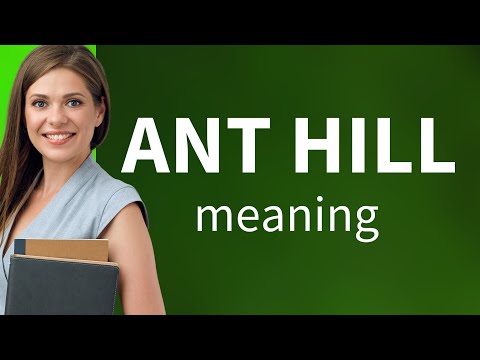 Unraveling the Mystery of "Ant hill"