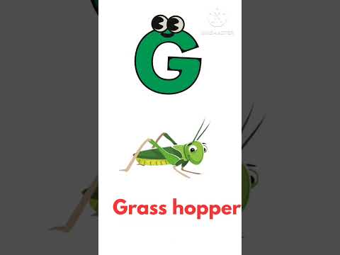 words starts with Letter G, Letter G words, more vocabularies, simple words for kids@kidz corner.