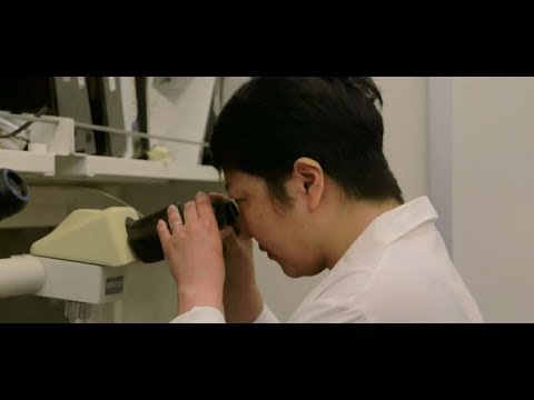 HSS Minute: Photosensitivity