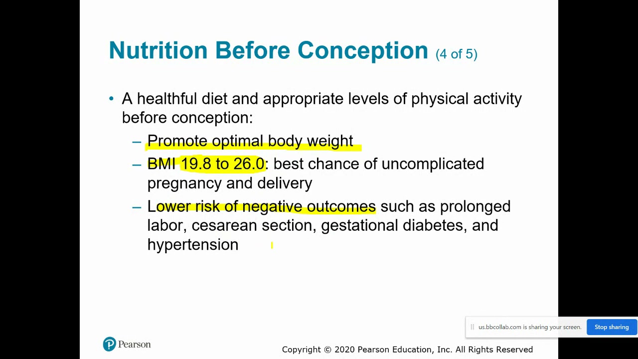 Lecture Chapter 17 Part One