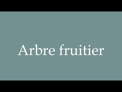 How to Pronounce ''Arbre fruitier'' (Fruit tree) Correctly in French