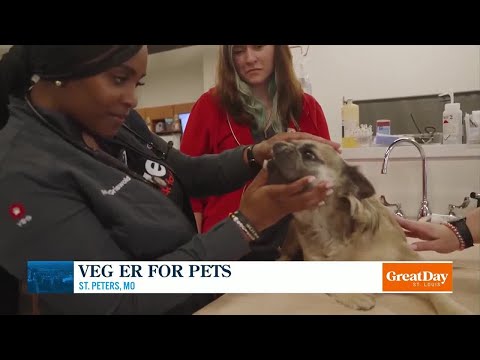 VEG ER for Pets