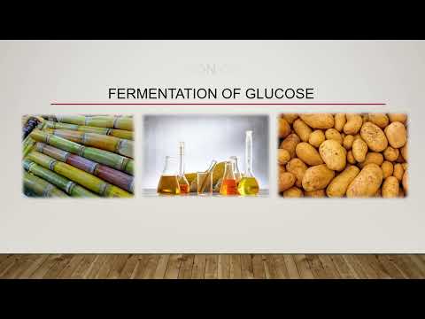 ETHANOL PROPERTIES, REACTIONS, PRODUCTION AND DAILY USES