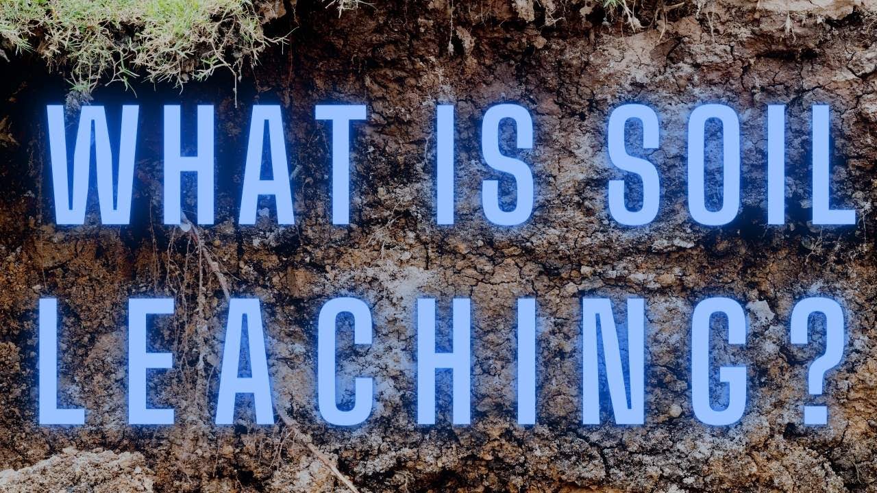 Soil Science: What Is Soil Leaching?