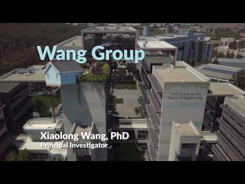 Wang Group Lab- ECE UC San Diego